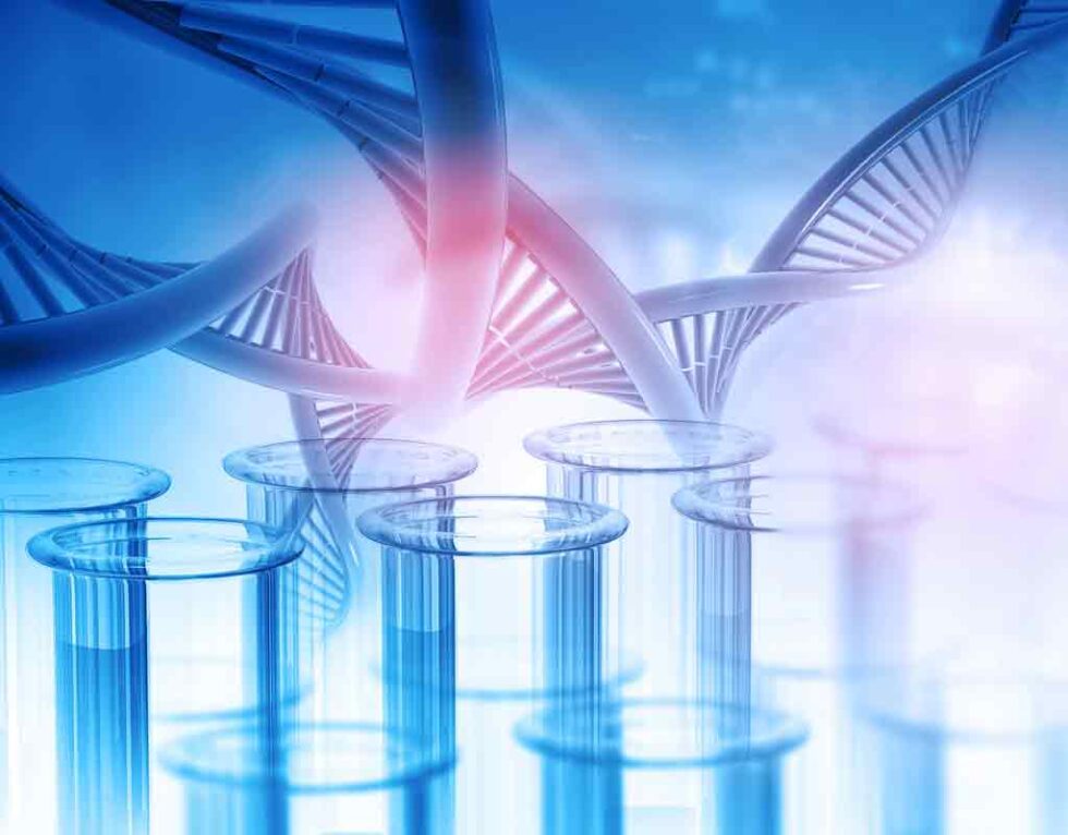 Personalized Healthcare through Genetic Insights - Berries Health ...